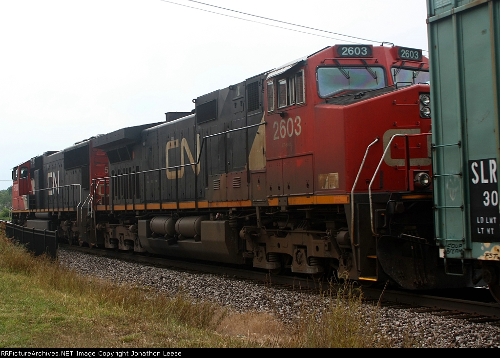 CN 2603